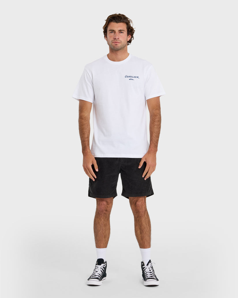 Pipe Dream Short Sleeve T-Shirt - White | Quiksilver