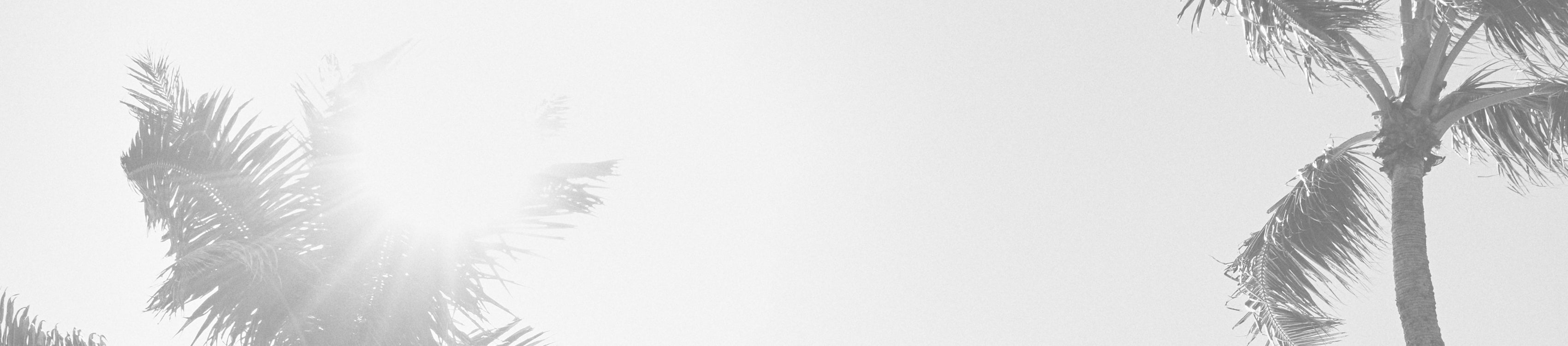 Freedom Waves – Quiksilver