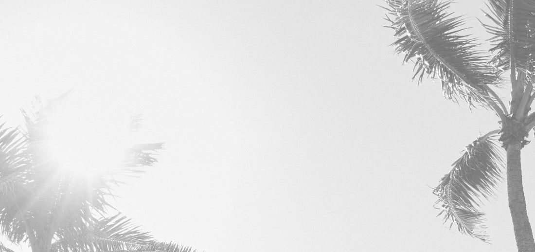 Freedom Waves – Quiksilver