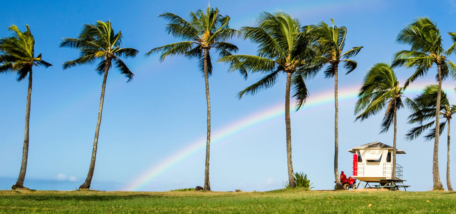 Mens Hawaii Collection – Quiksilver